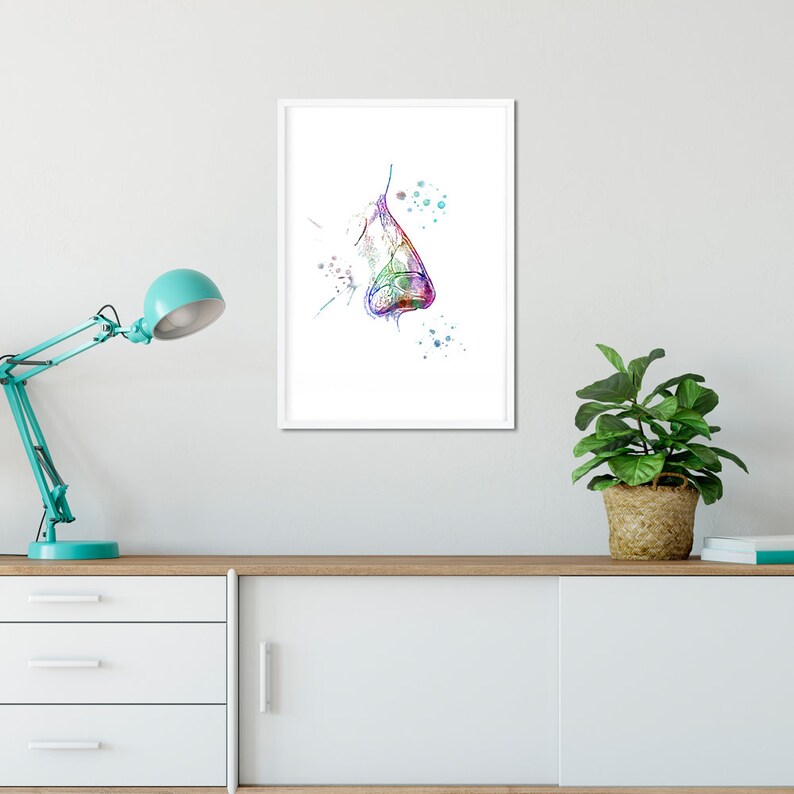Nose Poster Human Anatomy Art ENT Specialist Gift Clinic - Etsy