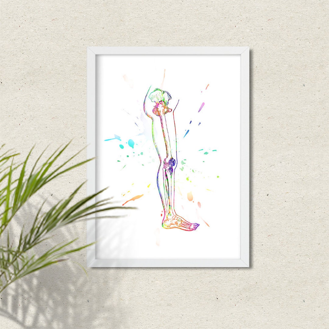 Anatomy of the Lower Limb Watercolor Wall Art Print for Physiotherapy ...