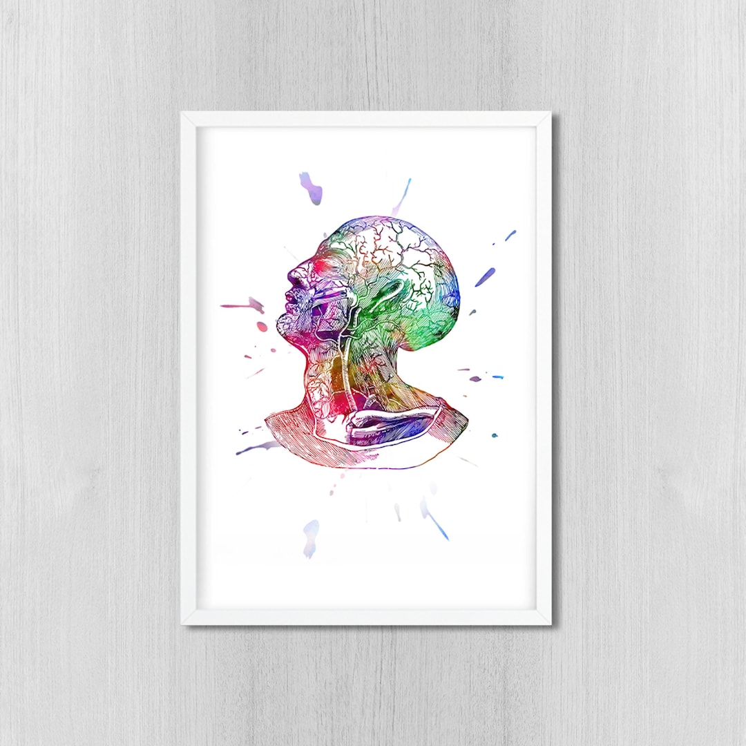 Medical Art Poster Circulatory System of the Human Head Anatomical ...