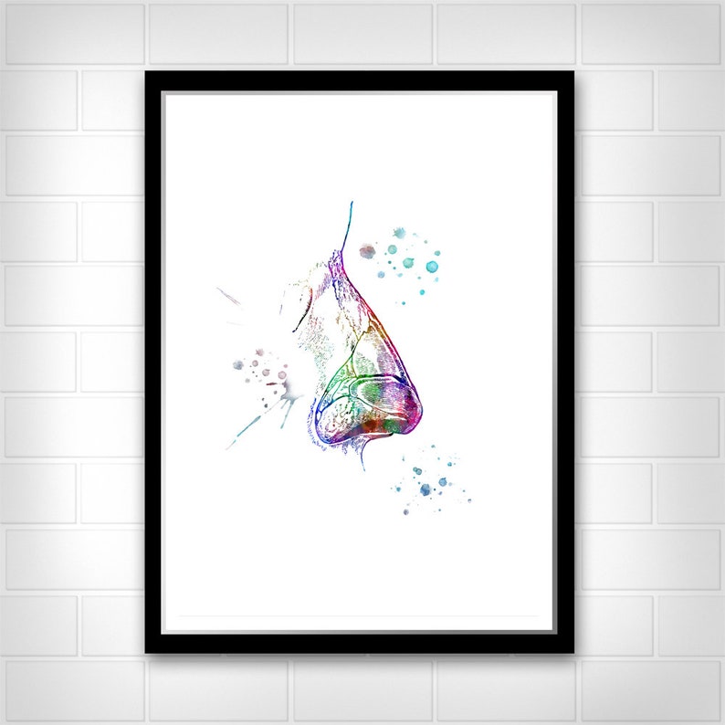 Nose Poster Human Anatomy Art ENT Specialist Gift Clinic - Etsy