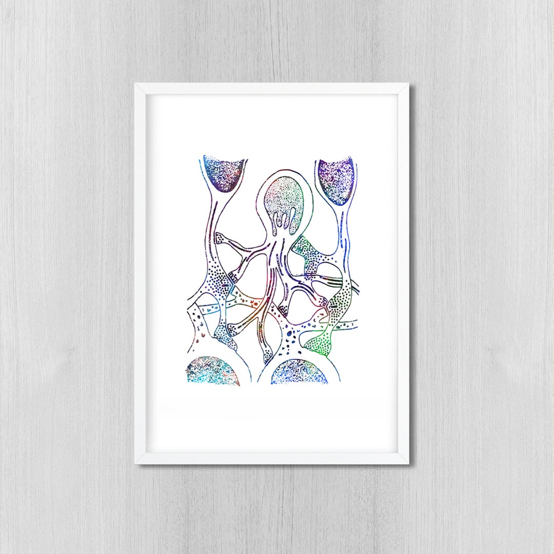 Structure of the Retina Poster Office Decor Watercolor Artwork Hospital ...