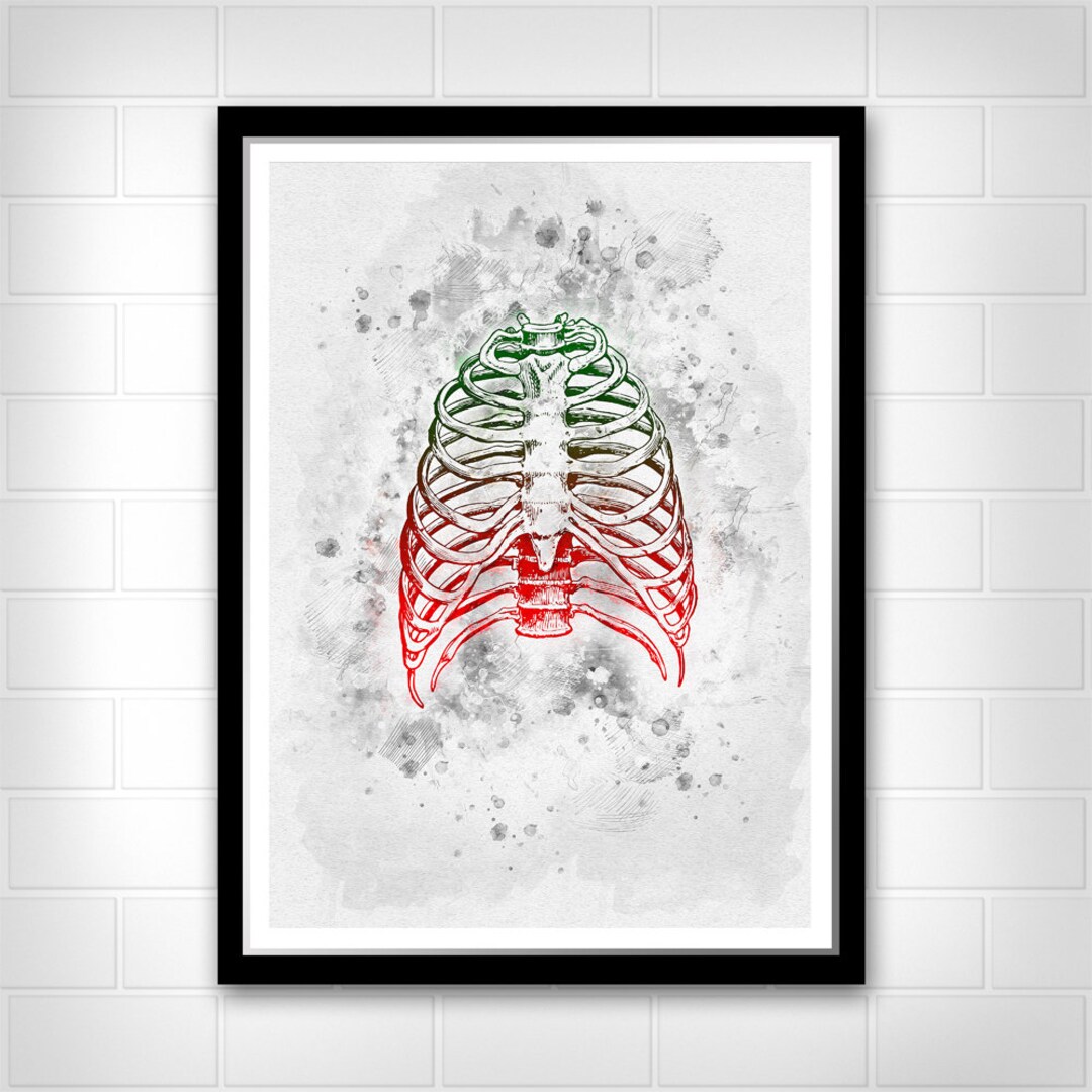 Rib Cage Anatomy Art Poster Watercolour Wall Decor - Etsy