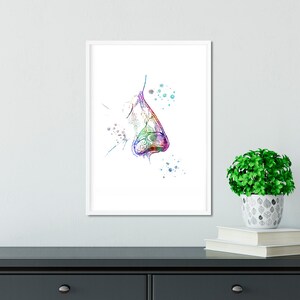 Nose Poster Human Anatomy Art ENT Specialist Gift Clinic Physician ...