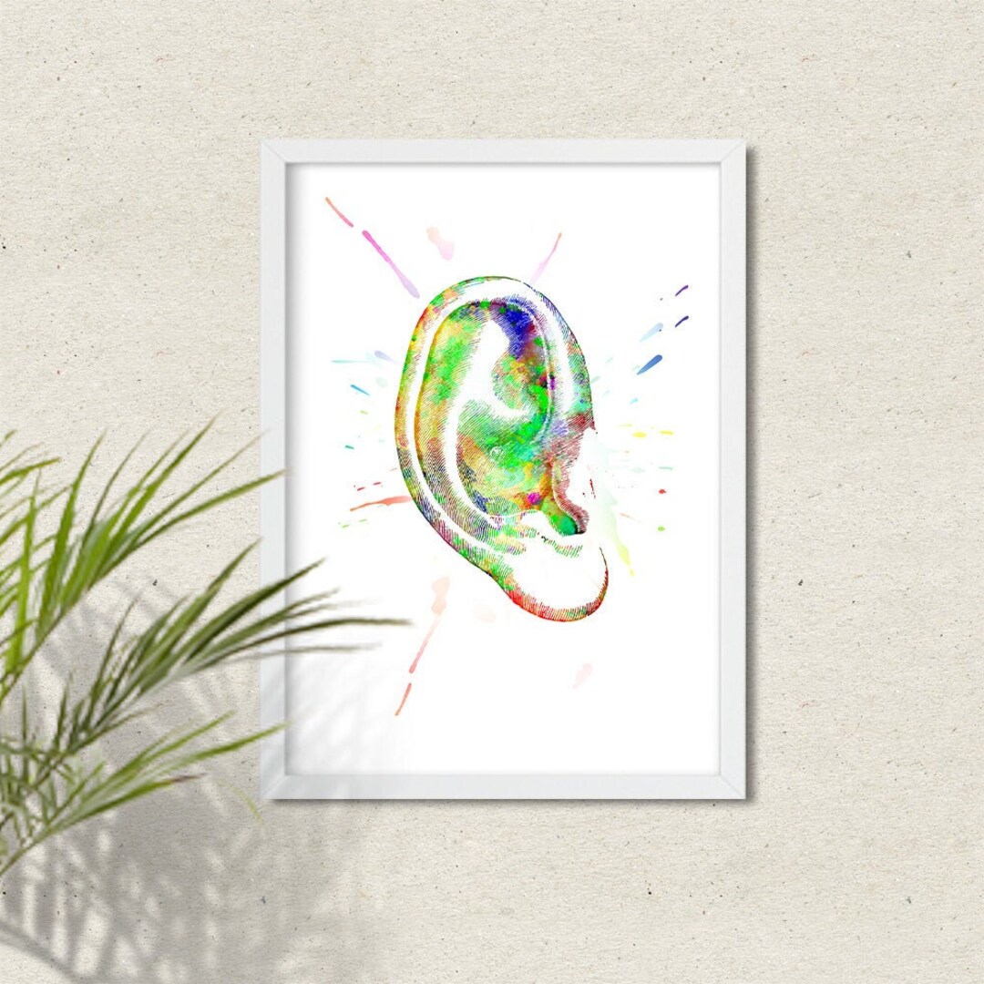 ENT Art Gift Human Ear Print Watercolor Wall Art Poster Home / - Etsy