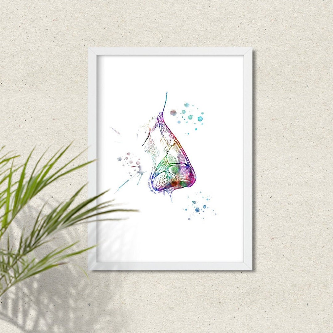 Nose Poster Human Anatomy Art ENT Specialist Gift Clinic Physician ...