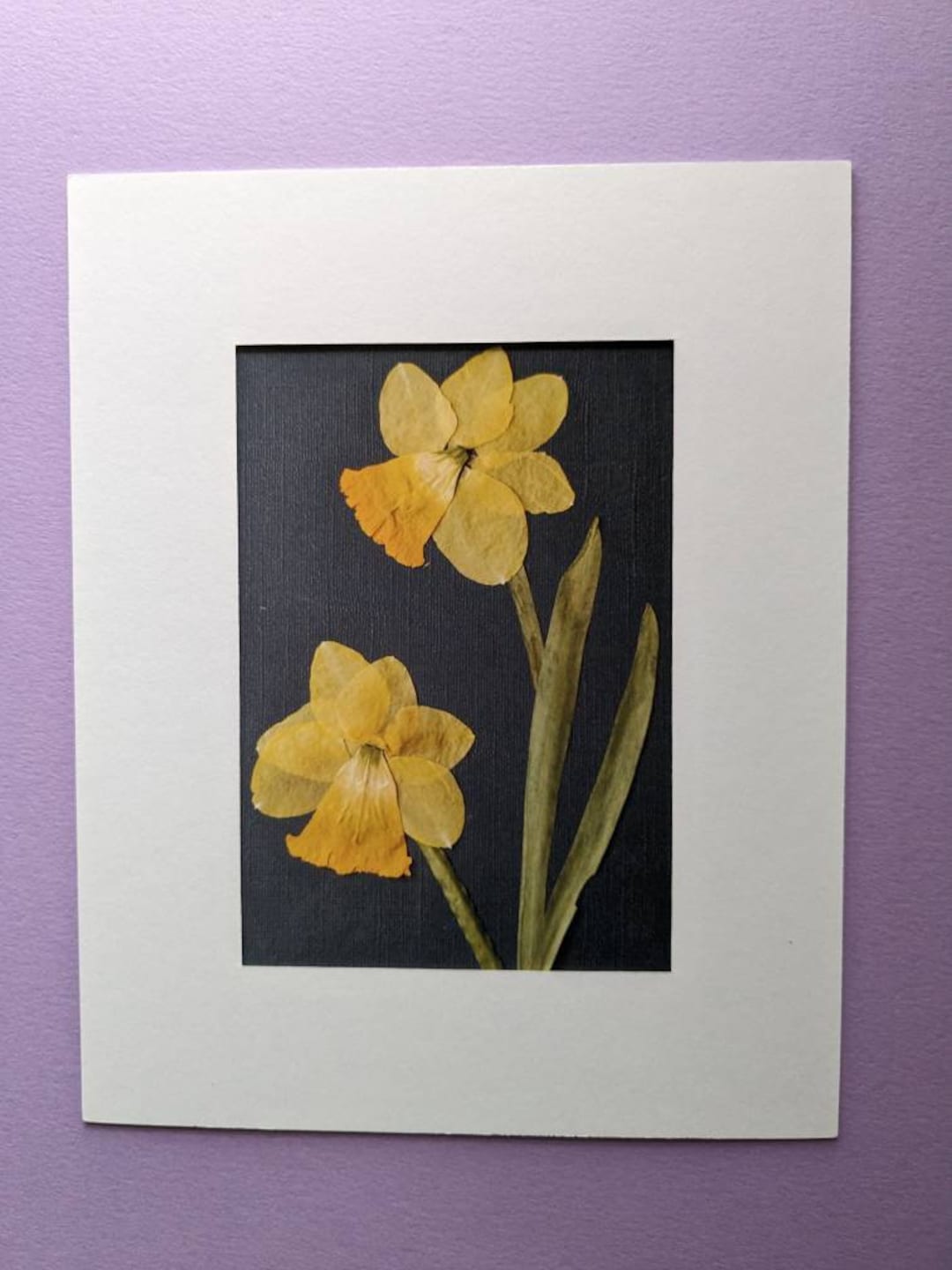 Dried Pressed Daffodil Digital Photo Matted 8x10 - Etsy