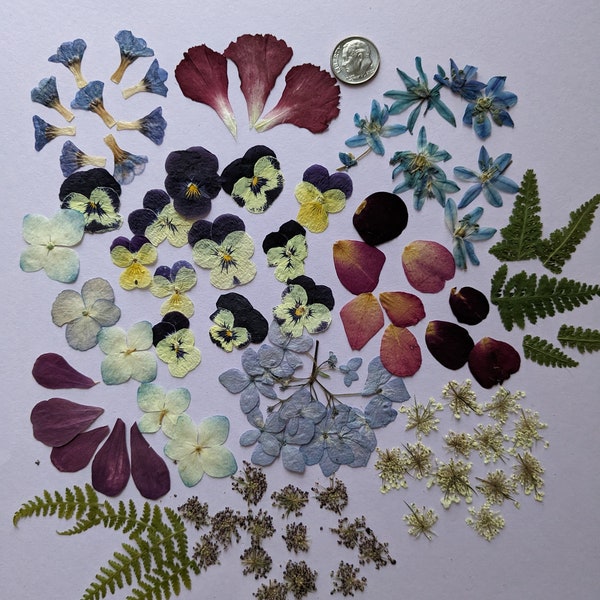 Pressed Flower Jewelry - Etsy