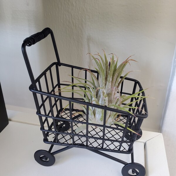 Mini Shopping Cart - Etsy