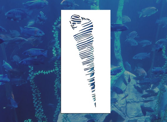 Auger Shell Reusable Stencil many Sizes | Etsy