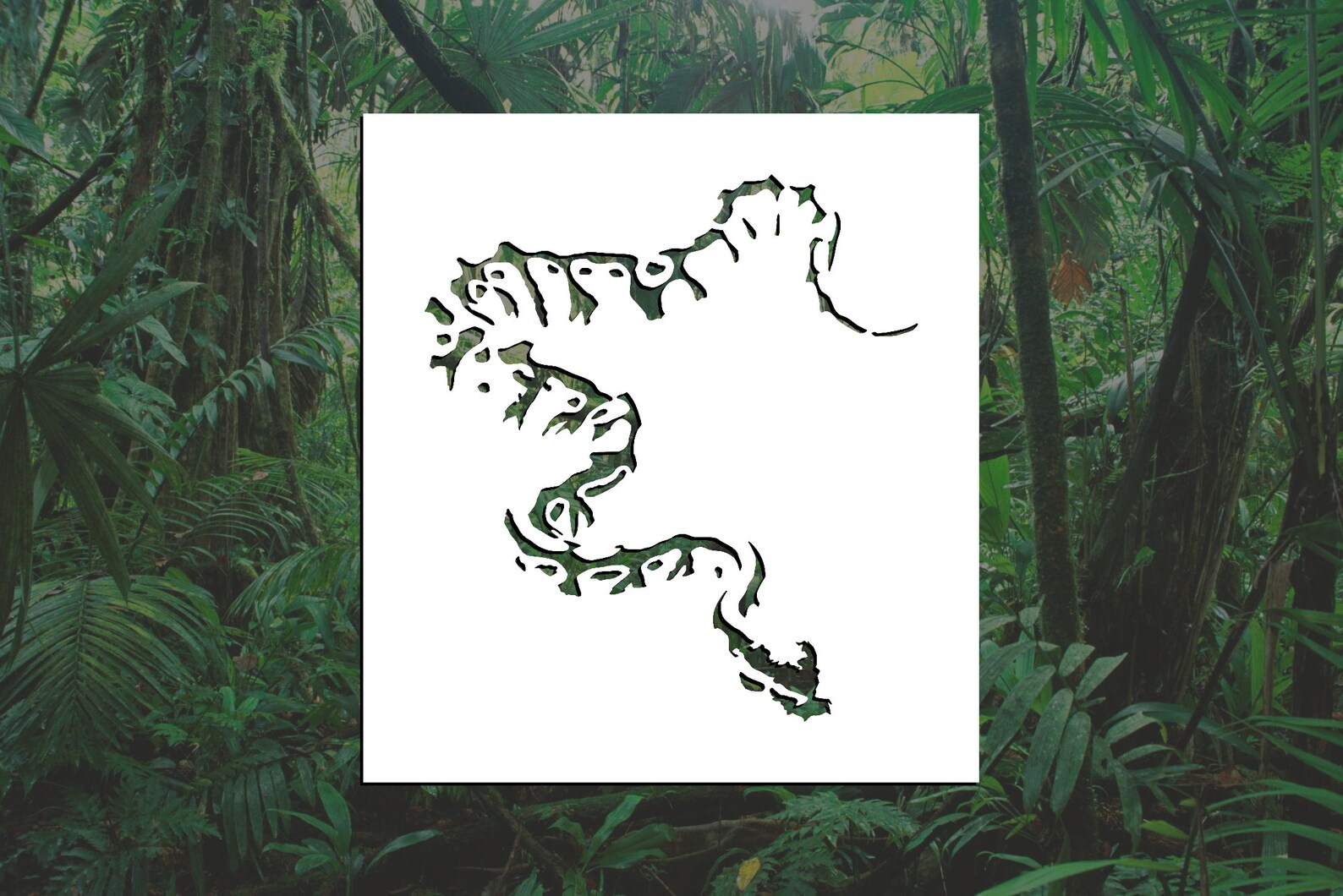 Ball Python Reusable Stencil (many Sizes) - Etsy