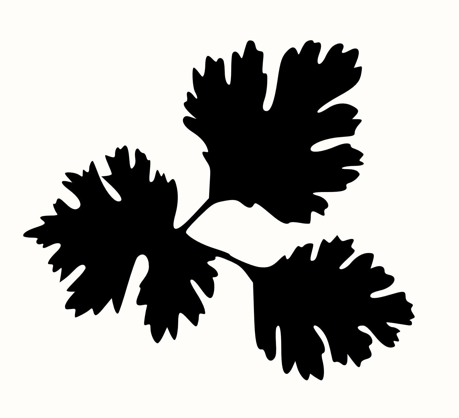 Cilantro Reusable Stencil (many Sizes) - Etsy