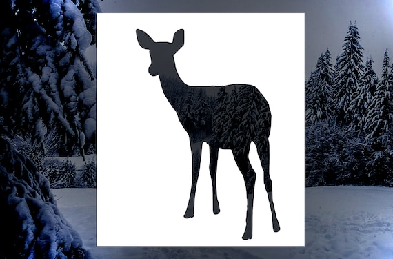 Doe Reusable Stencil many Sizes - Etsy