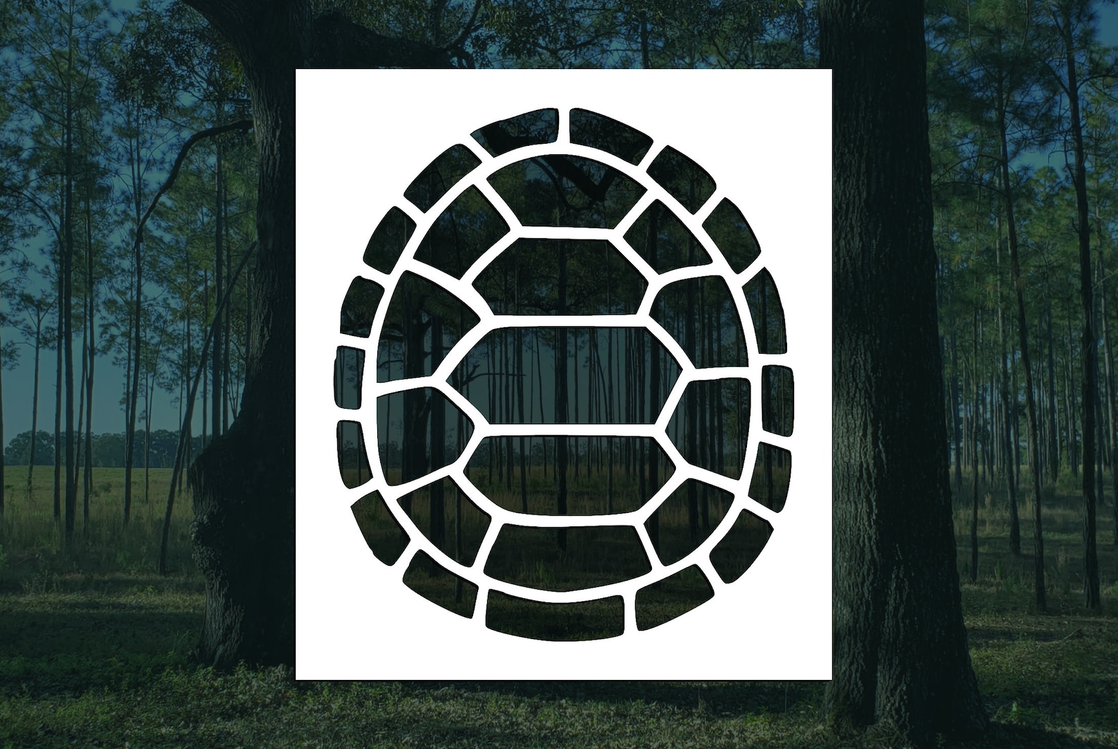 Turtle Shell Reusable Stencil many Sizes - Etsy