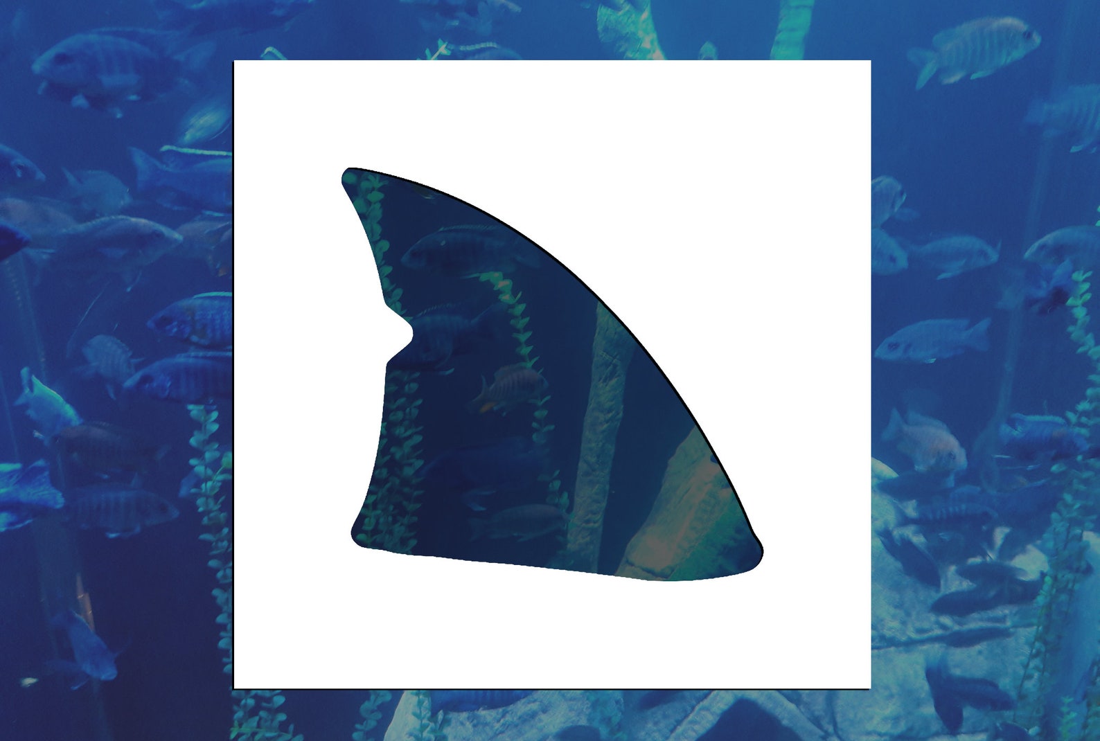 Shark Fin Reusable Stencil many Sizes - Etsy