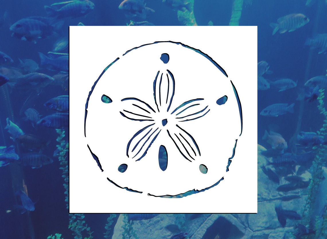 Sand Dollar Reusable Stencil many Sizes - Etsy