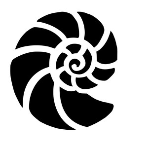 Nautilus Shell Reusable Stencil (many Sizes) - Etsy
