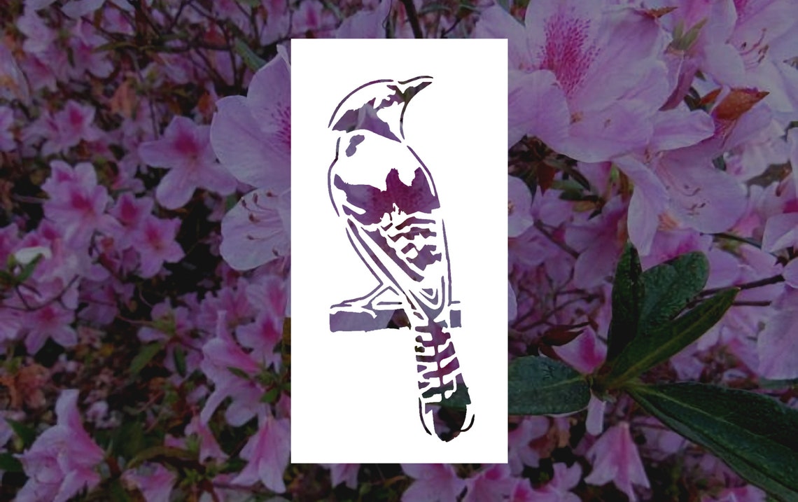 Blue Jay Reusable Stencil (many Sizes) - Etsy