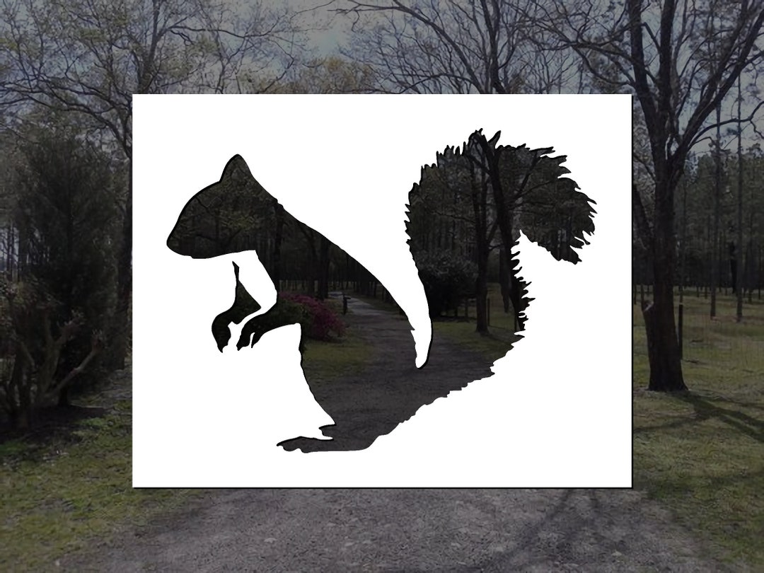 Squirrel Reusable Stencil (many Sizes) - Etsy