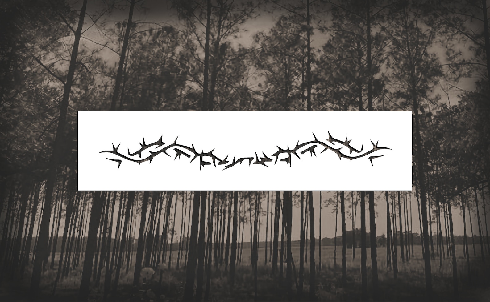 Thorn Vine Border Stencil (many Sizes) - Etsy