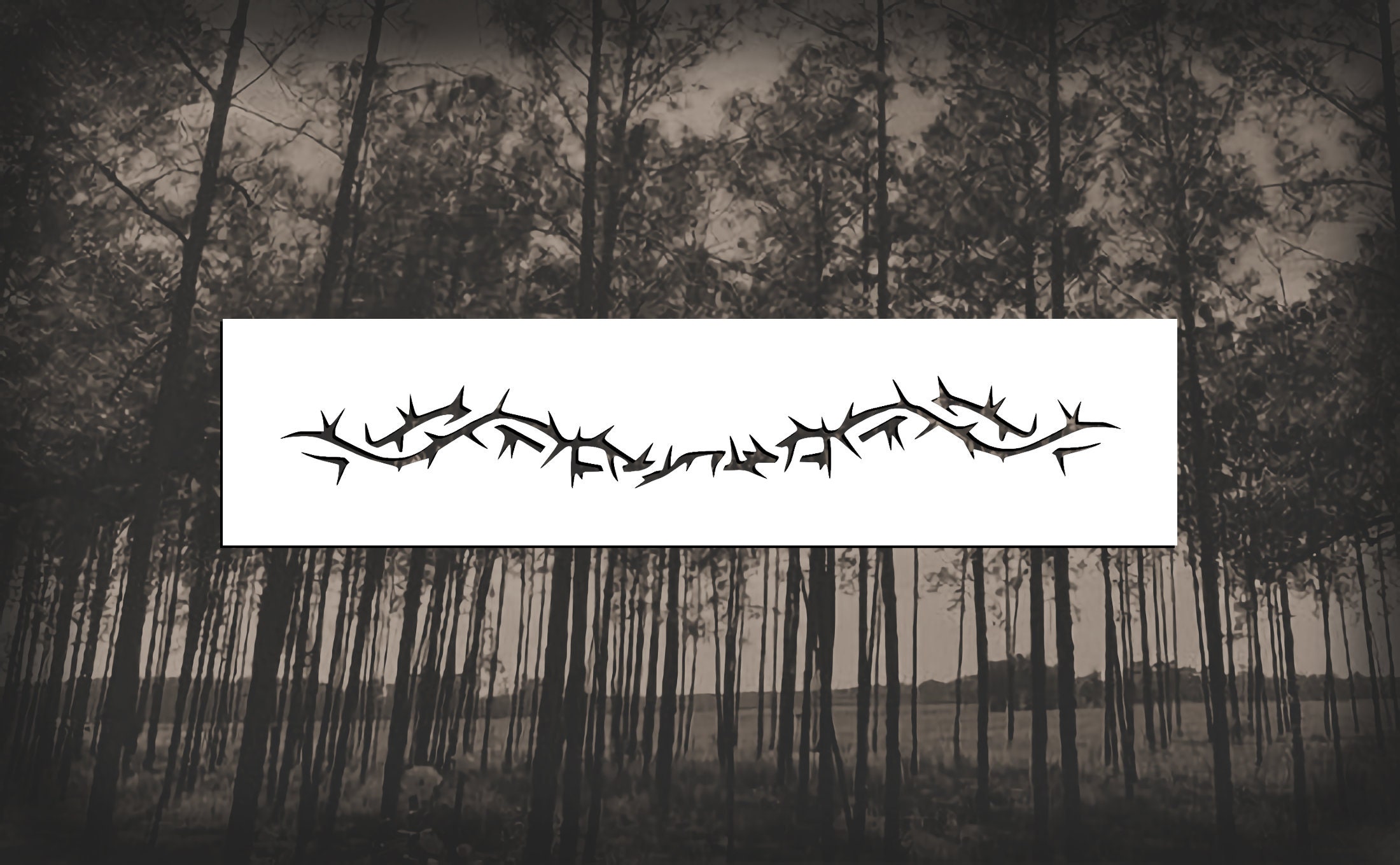 Thorn Vine Border Stencil (many Sizes) - Etsy