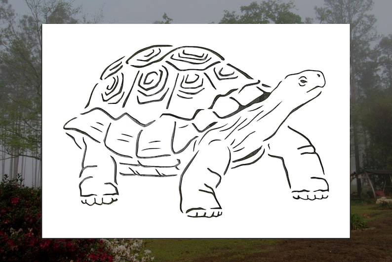 Tortoise Reusable Stencil many Sizes - Etsy