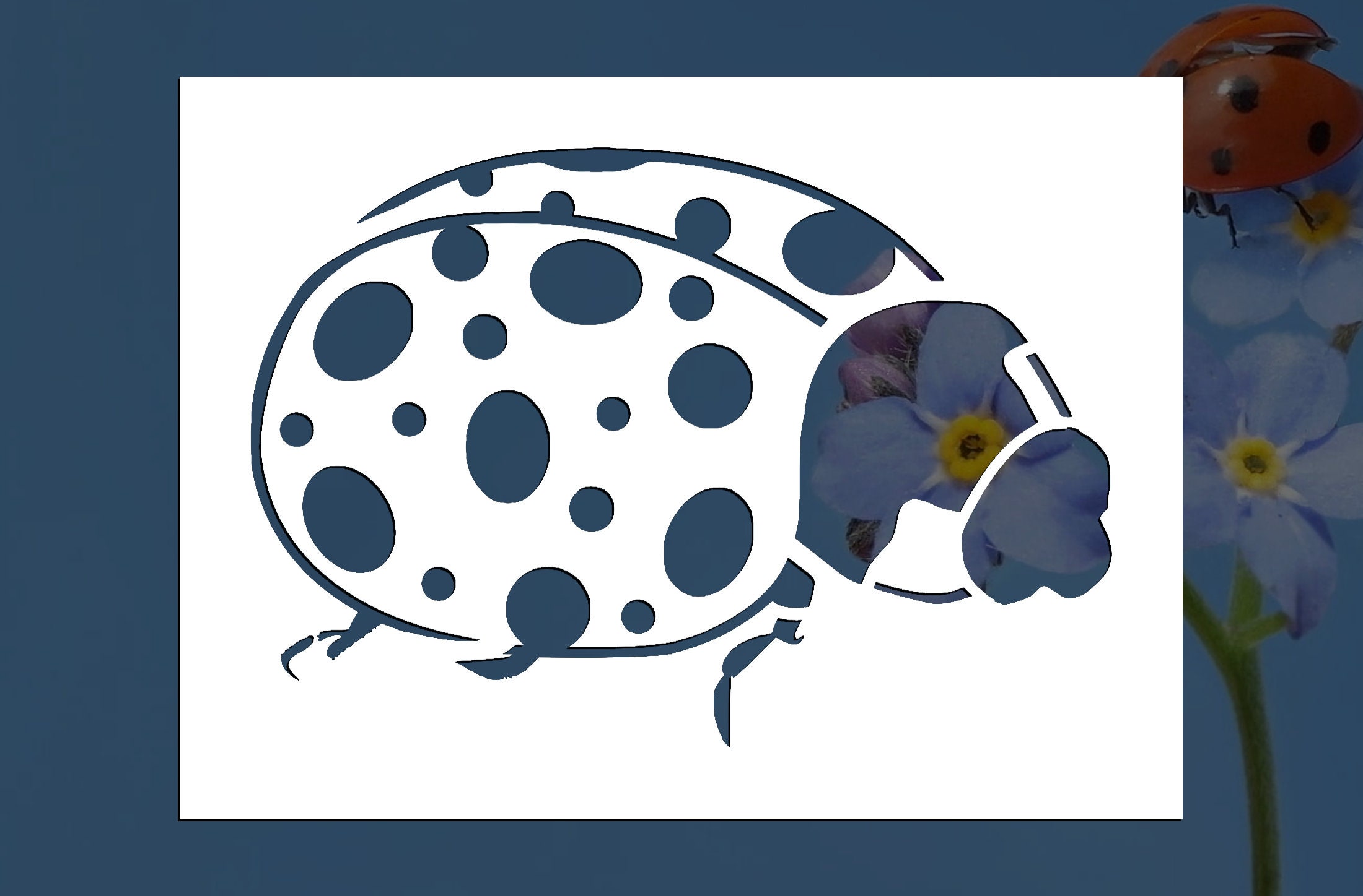 Ladybug Beetle Reusable Stencil (many Sizes) - Etsy