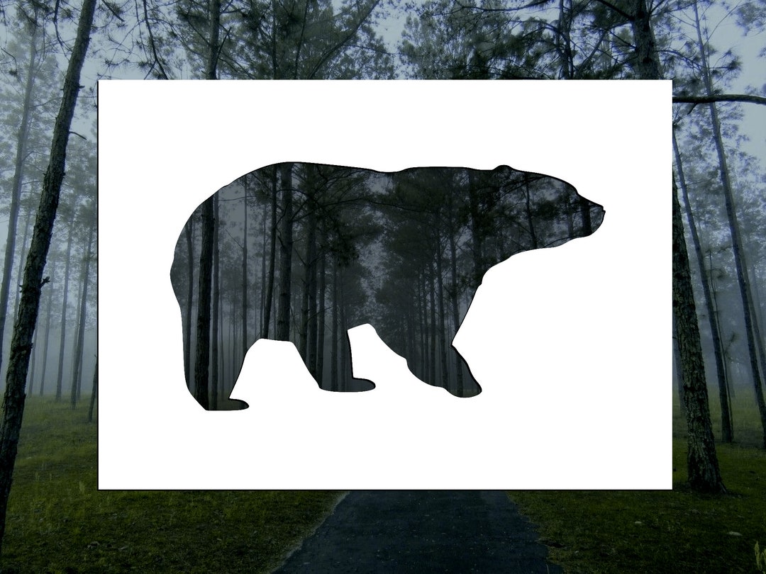 Bear Reusable Stencil (many Sizes) - Etsy