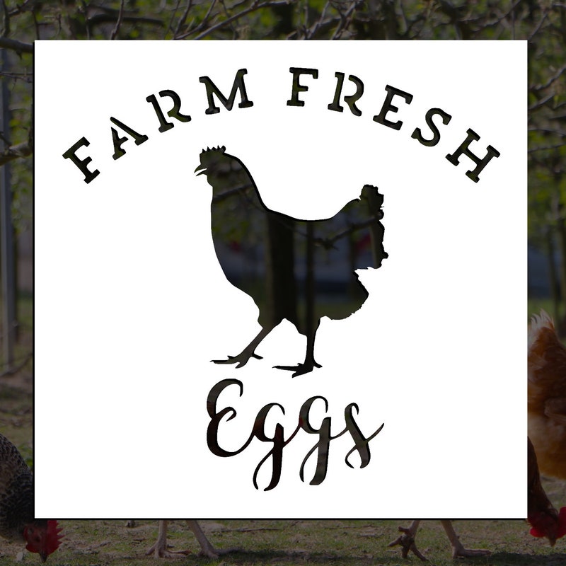 Fresh Eggs Sign - Etsy
