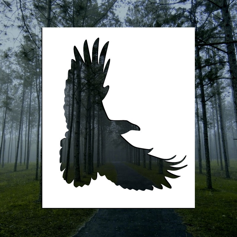 Raven Pumpkin Stencil - Etsy
