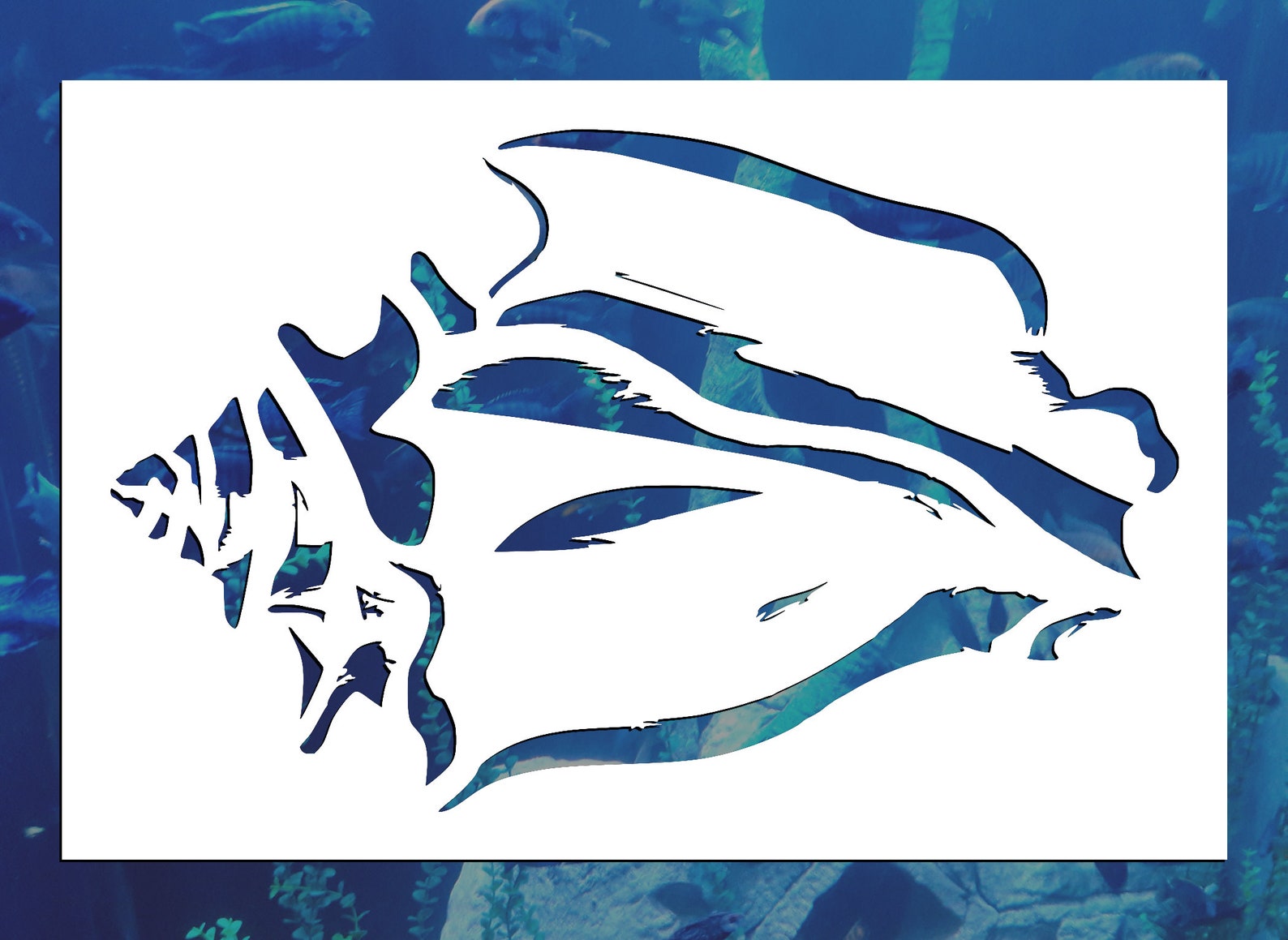 Conch Shell Reusable Stencil many Sizes - Etsy