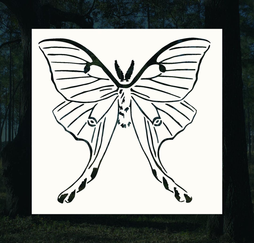 Luna Moon Moth Reusable Stencil (many Sizes) - Etsy