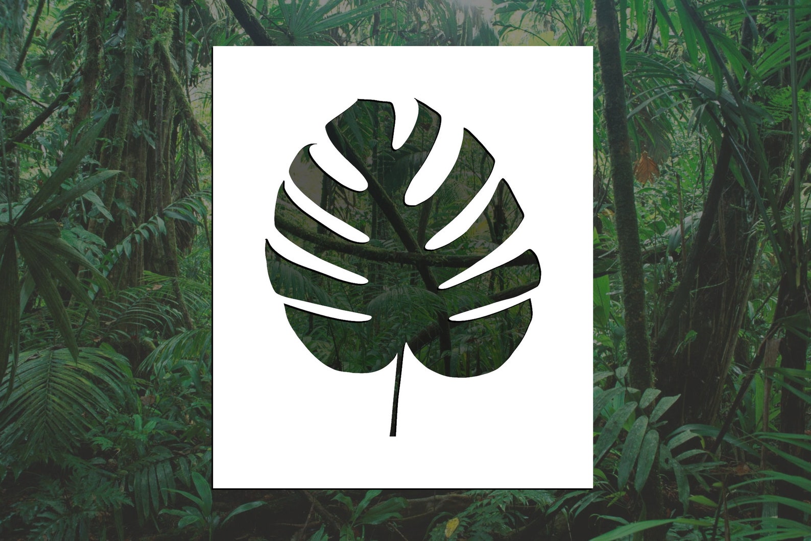 Monstera Leaf Reusable Stencil many Sizes - Etsy