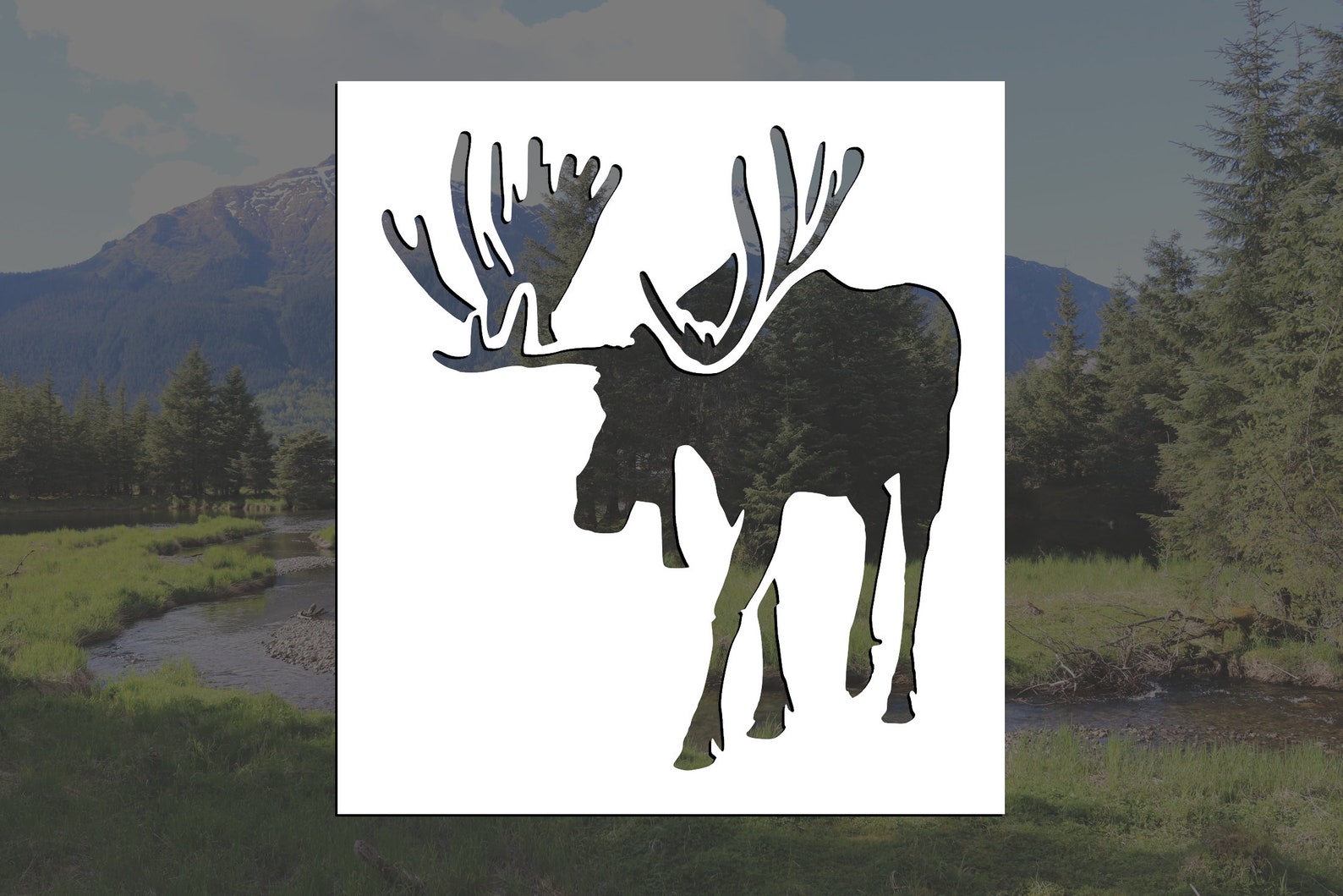 Male Moose Reusable Stencil | (many Sizes) - Etsy