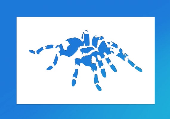Tarantula Reusable Stencil many Sizes | Etsy