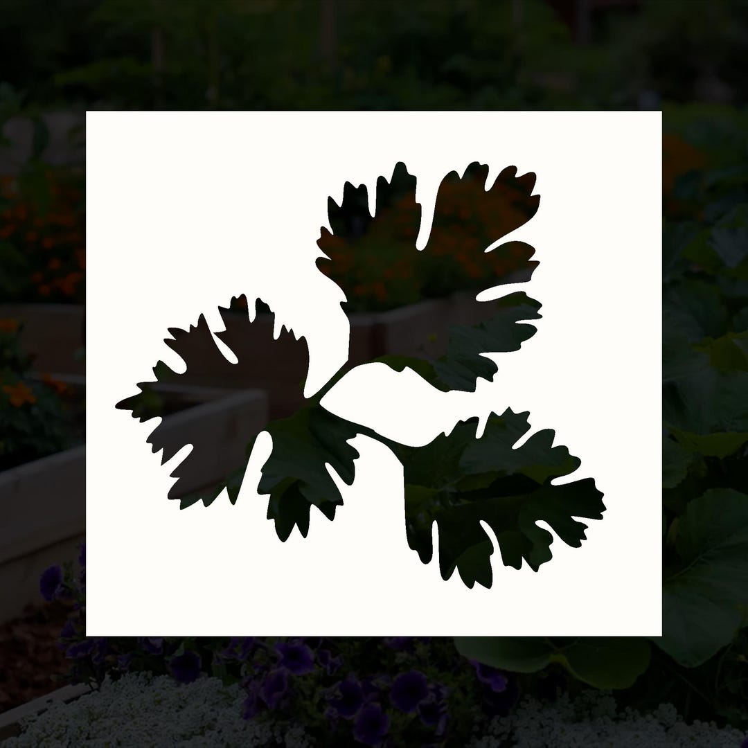 Cilantro Reusable Stencil (many Sizes) - Etsy
