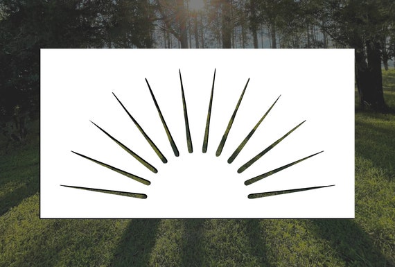 Sunbeam Reusable Stencil many Sizes - Etsy