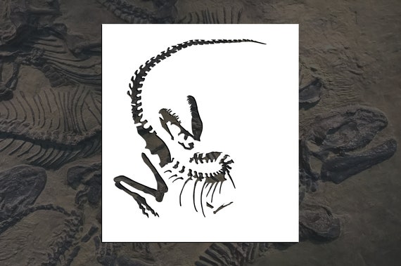 Velociraptor Fossil Jurassic Park