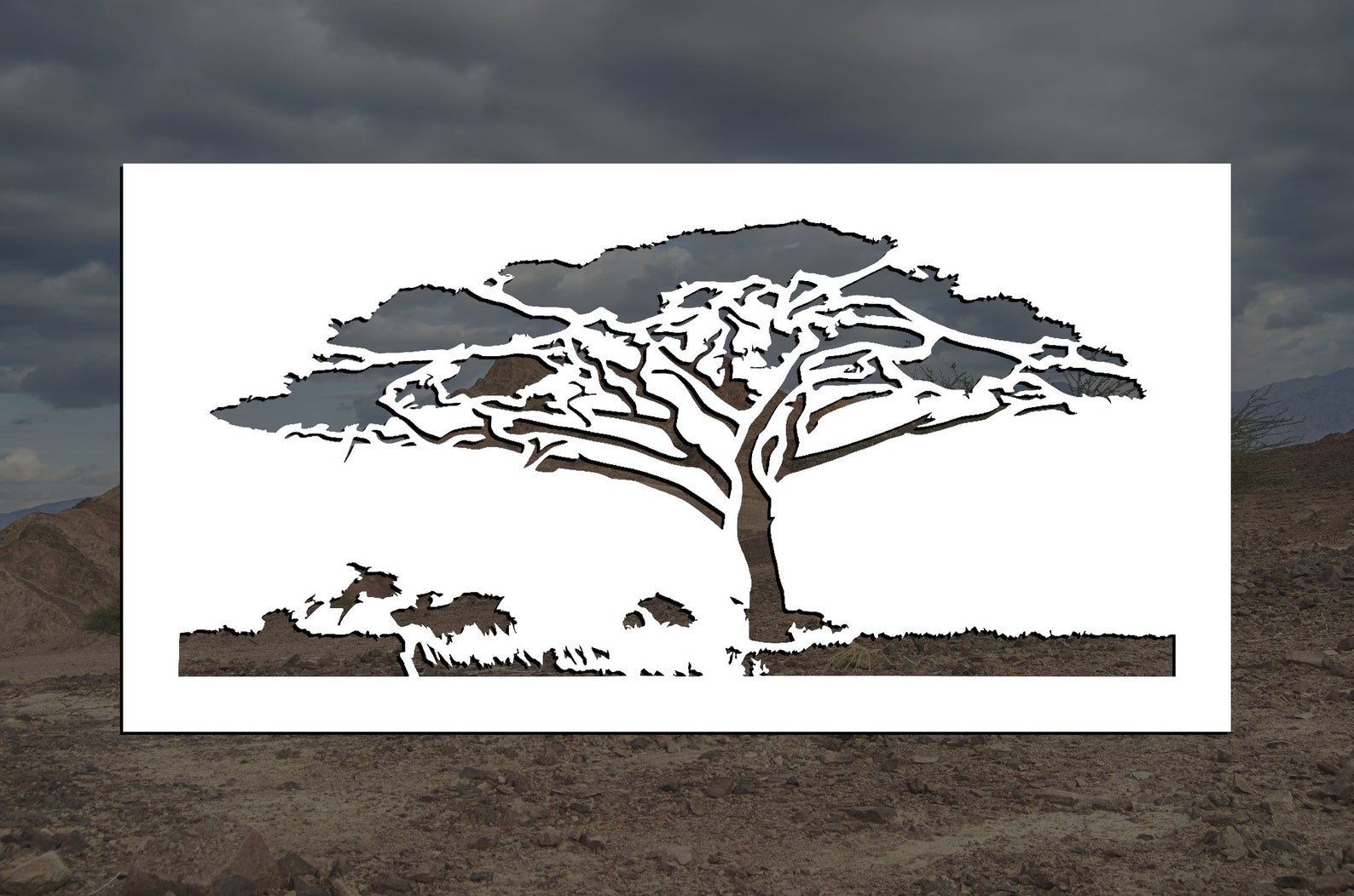 Acacia Tree Reusable Stencil many Sizes - Etsy