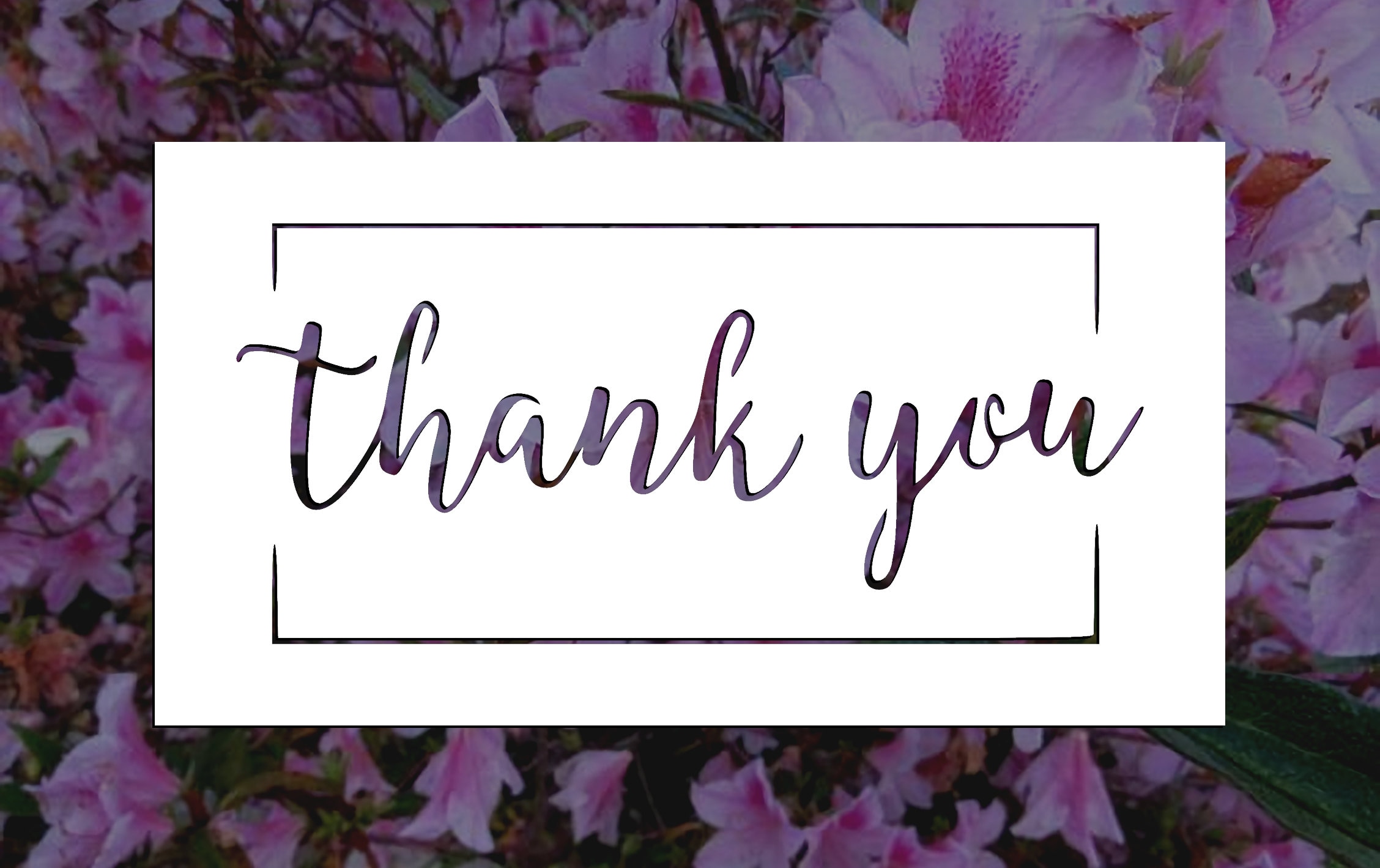Thank You Reusable Stencil many Sizes - Etsy