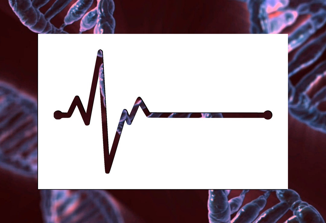 Heartbeat Line Reusable Stencil (many Sizes) - Etsy