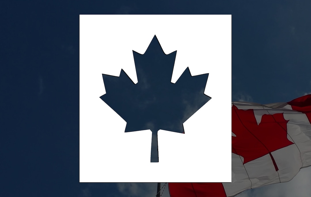 Canadian Flag Style Maple Leaf Reusable Stencil (many Sizes) - Etsy