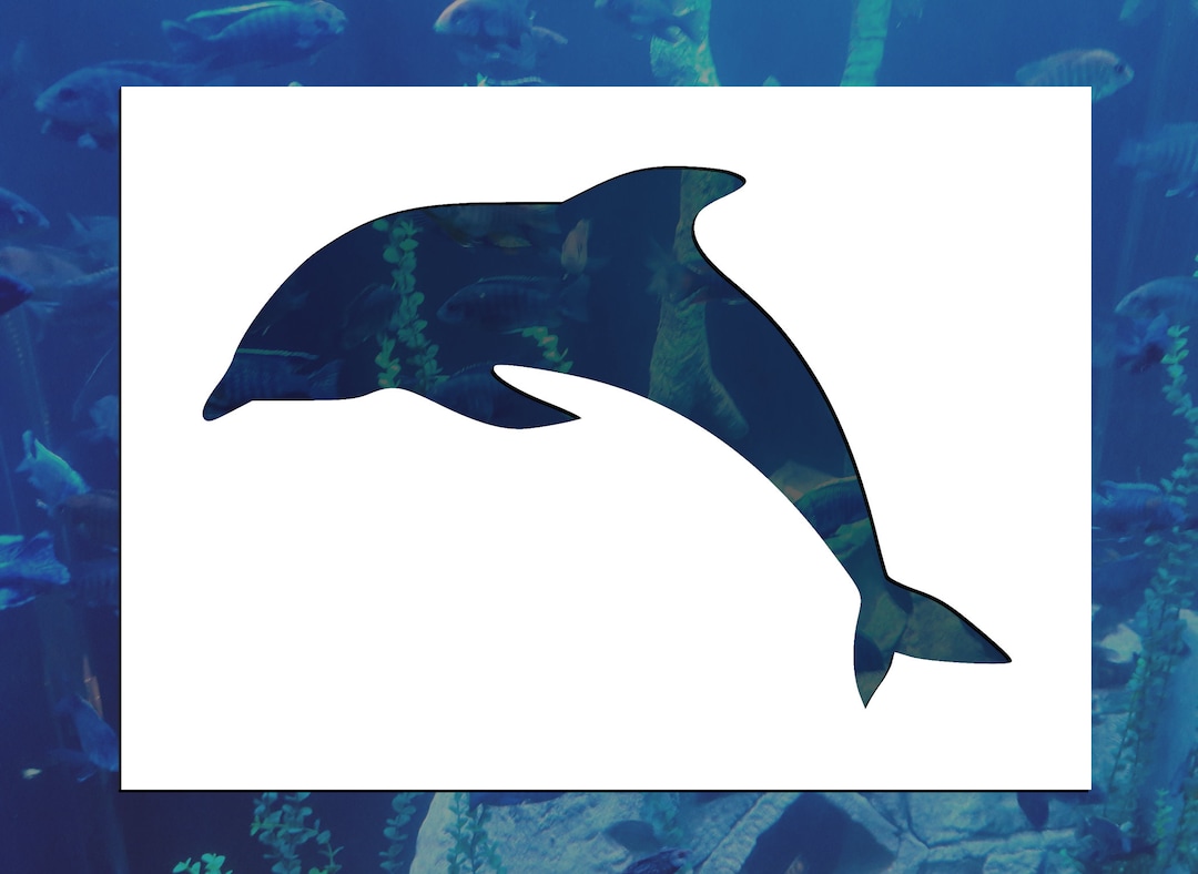 Dolphin Reusable Stencil (many Sizes) - Etsy