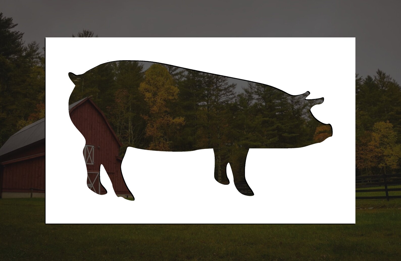 Pig Reusable Stencil (many Sizes) - Etsy