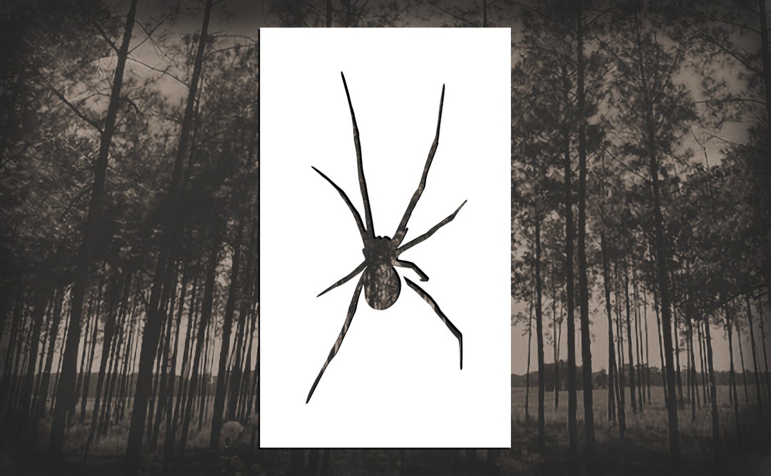 Spider Reusable Stencil (many Sizes) - Etsy