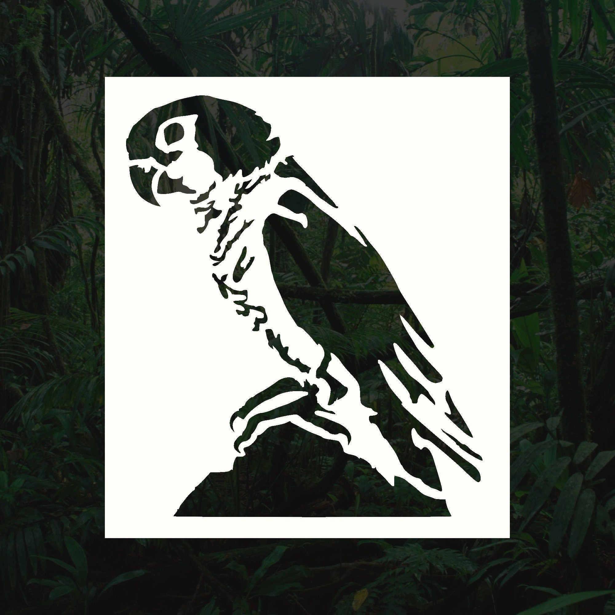 Green-cheeked Parakeet Reusable Stencil (many Sizes) - Etsy