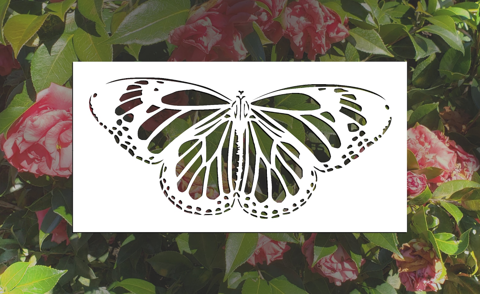Monarch Butterfly Reusable Stencil (many Sizes) - Etsy