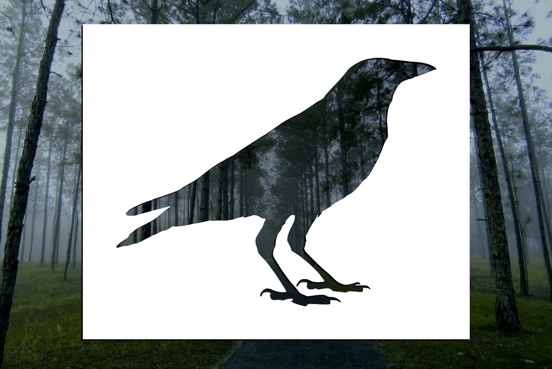 Carrion Crow Reusable Stencil (many Sizes) - Etsy