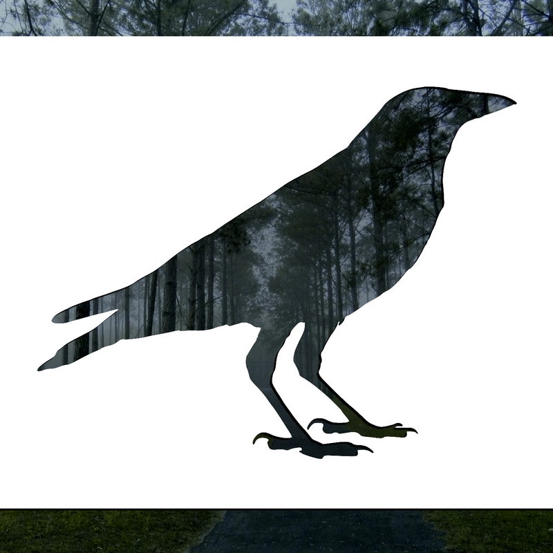 Flock of Crows - Etsy