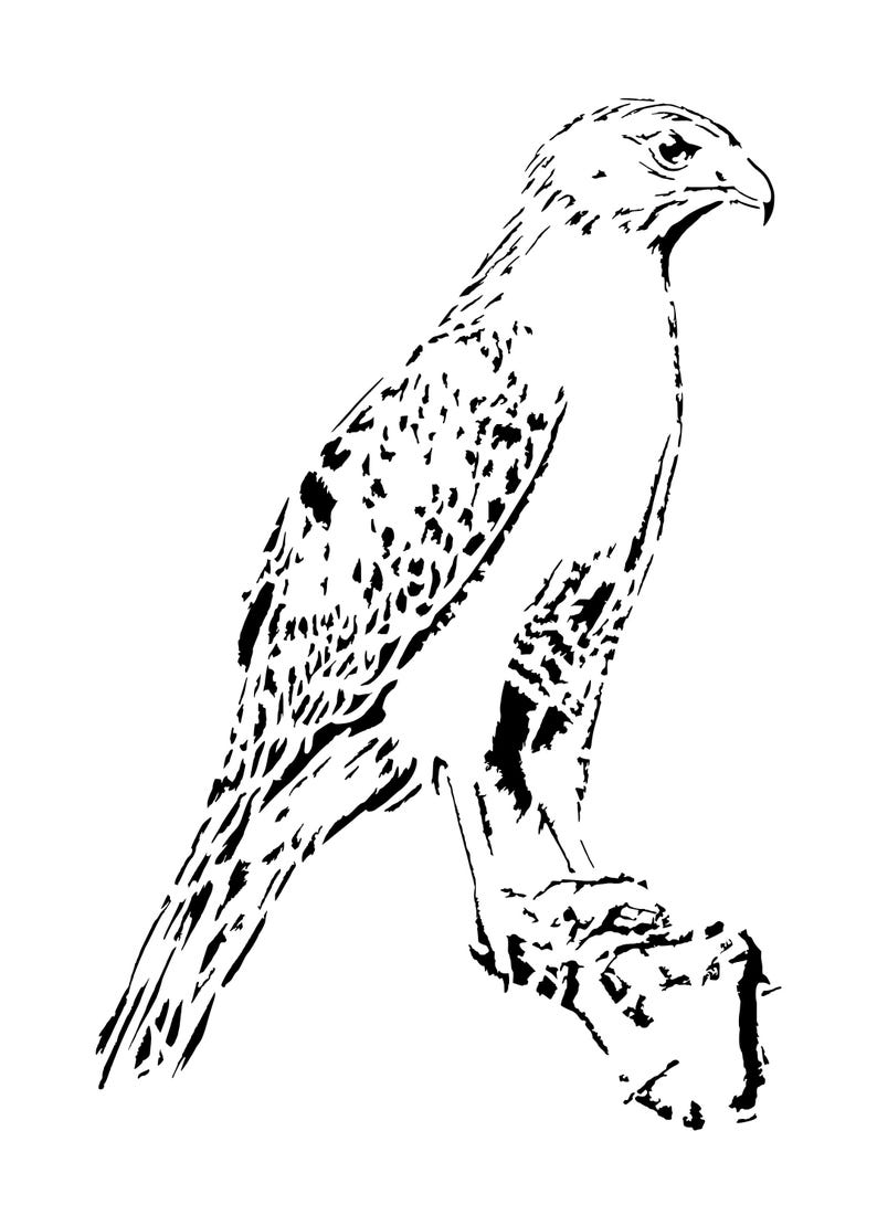 Hawk Reusable Stencil (many Sizes) - Etsy