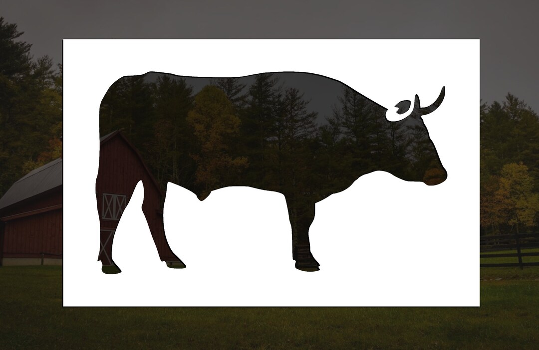 Bull Reusable Stencil (many Sizes) - Etsy
